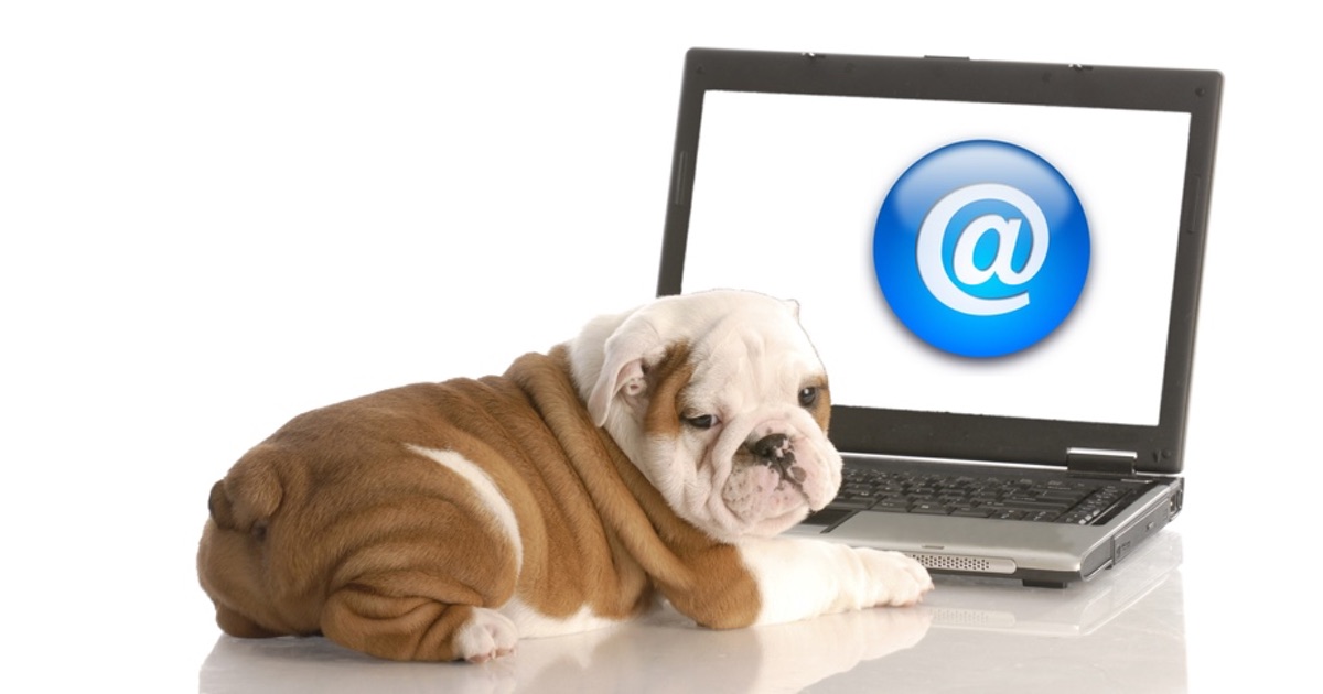 Troubleshooting Emails Not Working - learn@diydigital.com.au